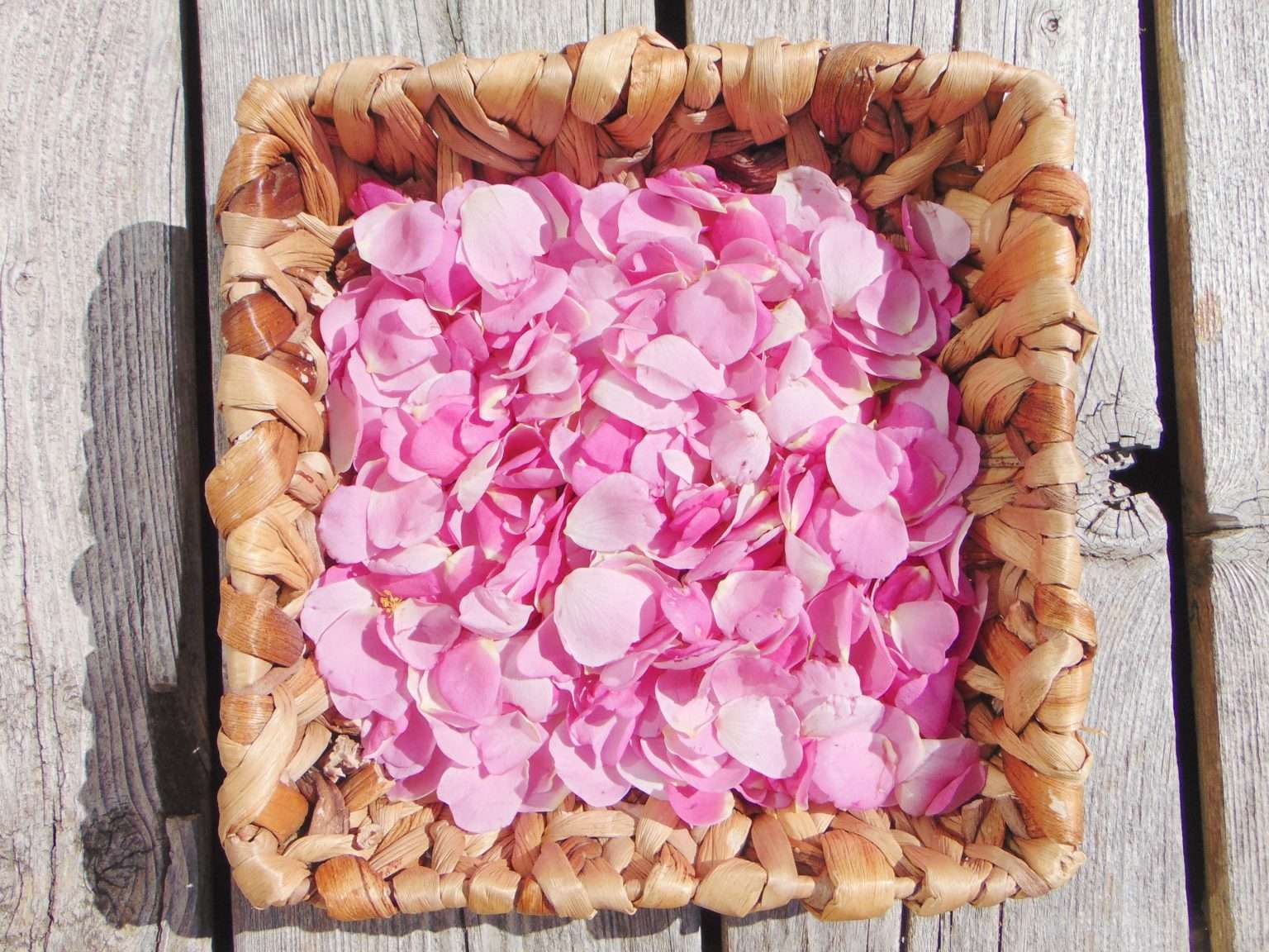DIY Rose Water Recipe - Out by the door