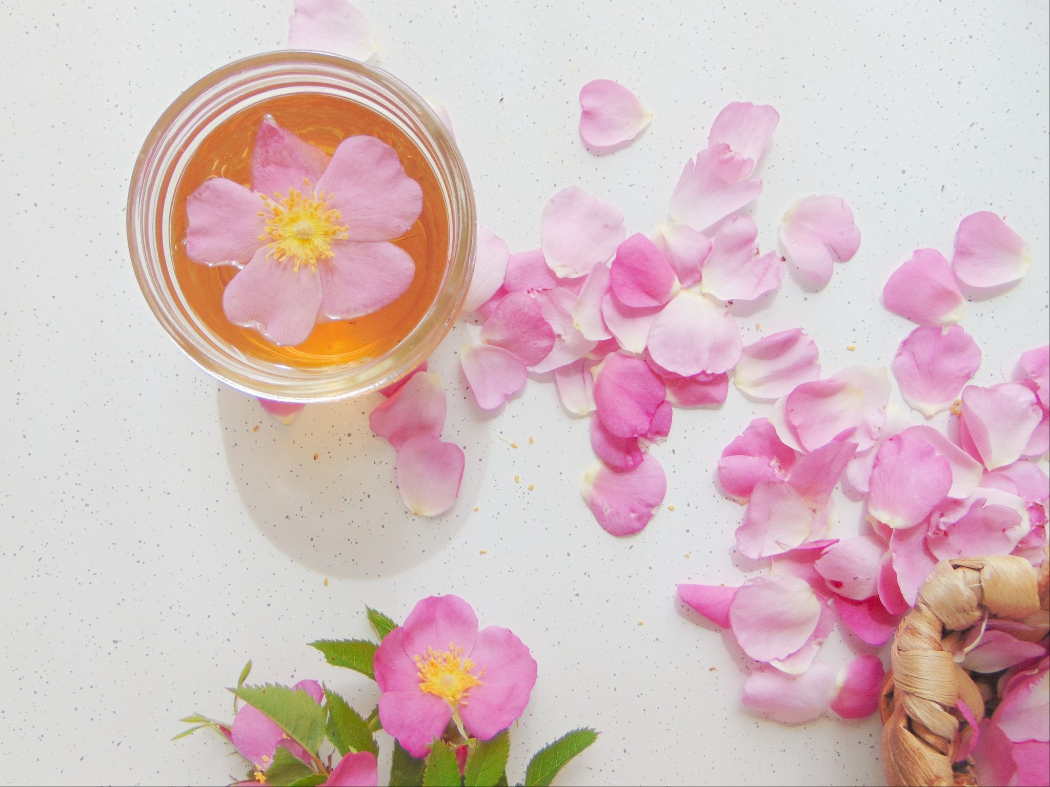 DIY Rose Water Recipe - Out by the door