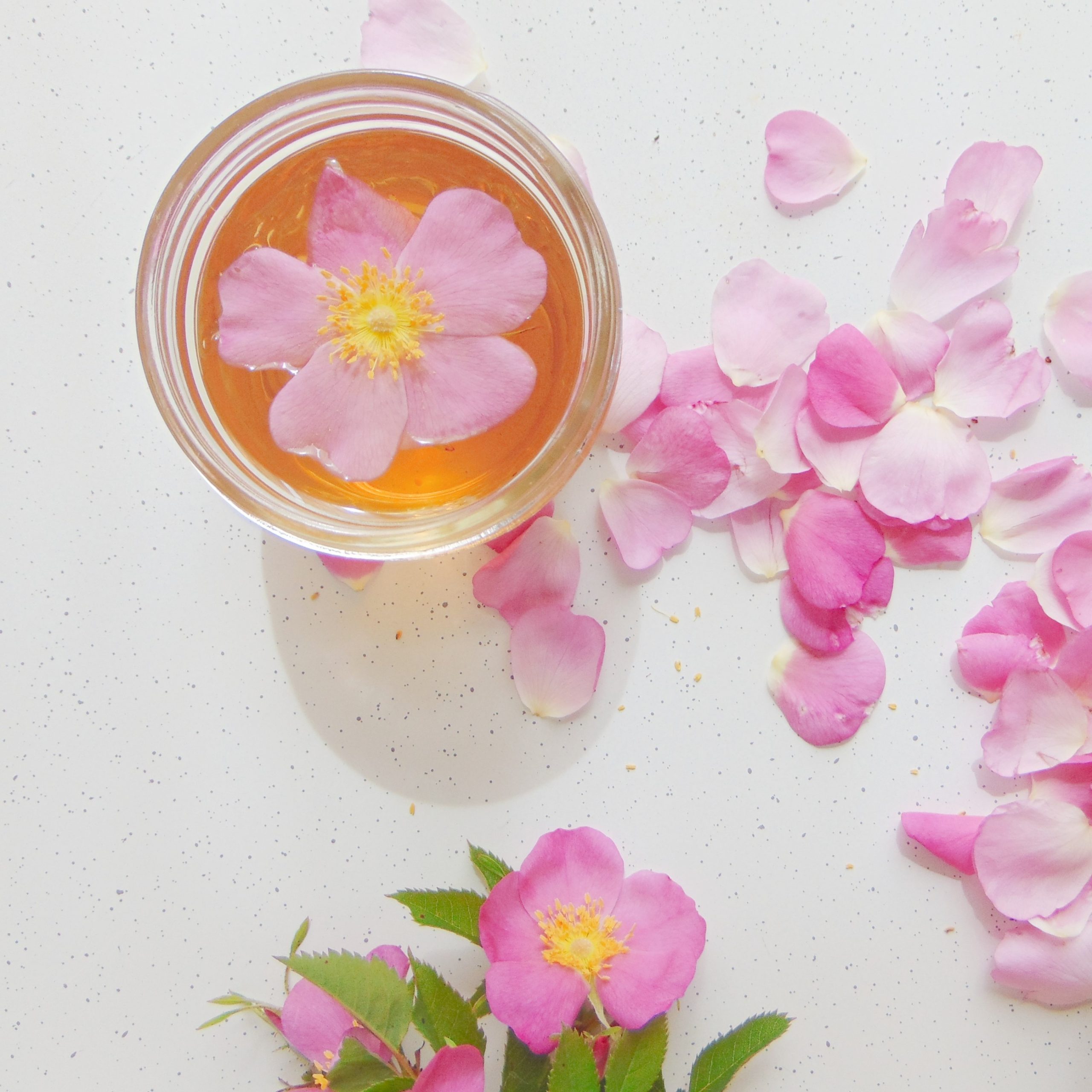 DIY Rose Water Recipe - Out by the door