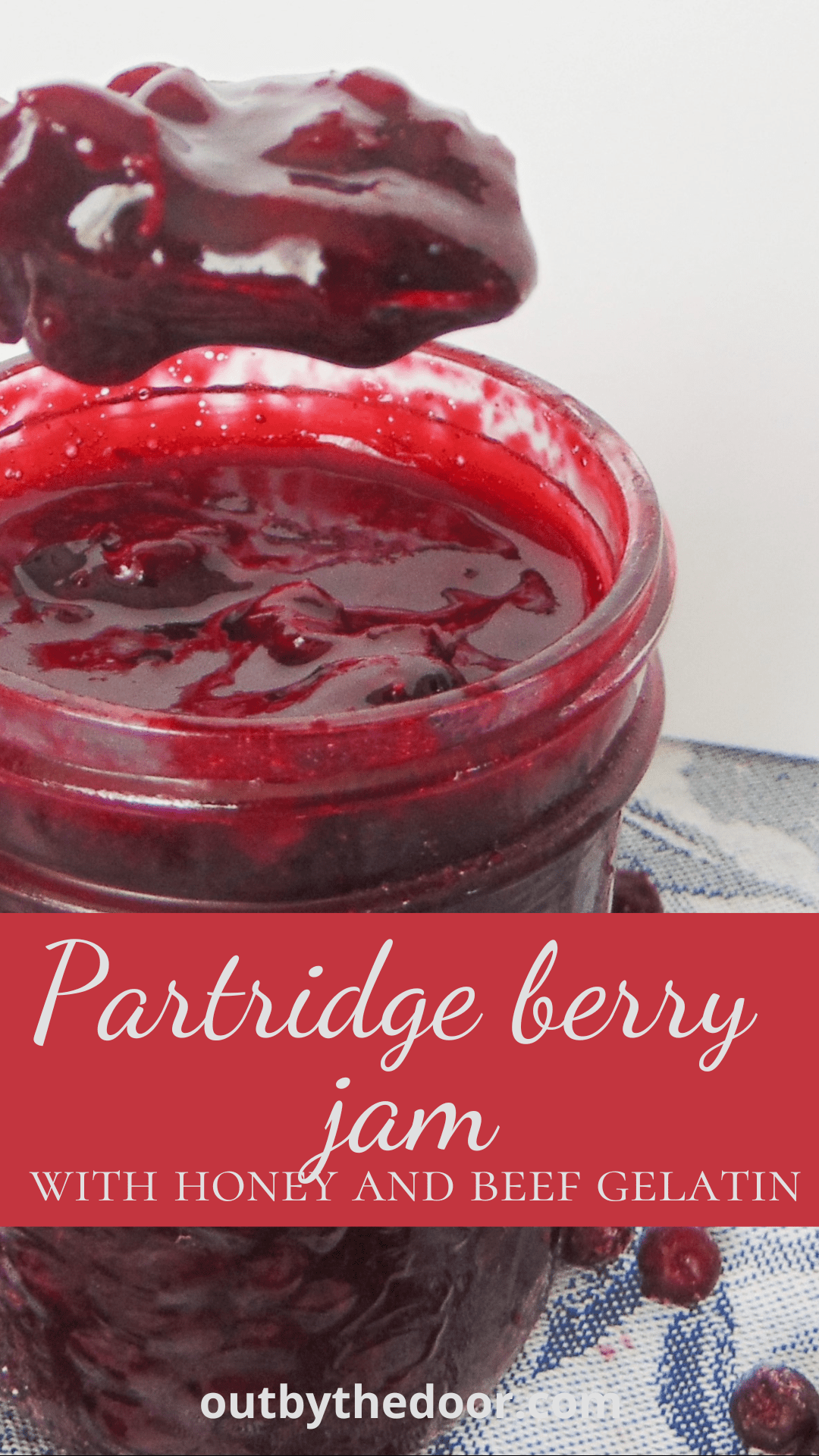 Partridge Berry Jam Recipe with Honey and Beef Gelatin - Out by the door