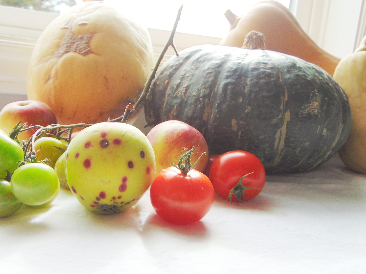 What is Simple Living? (And 10 Tips to Simplify your Life) - Out by the ...