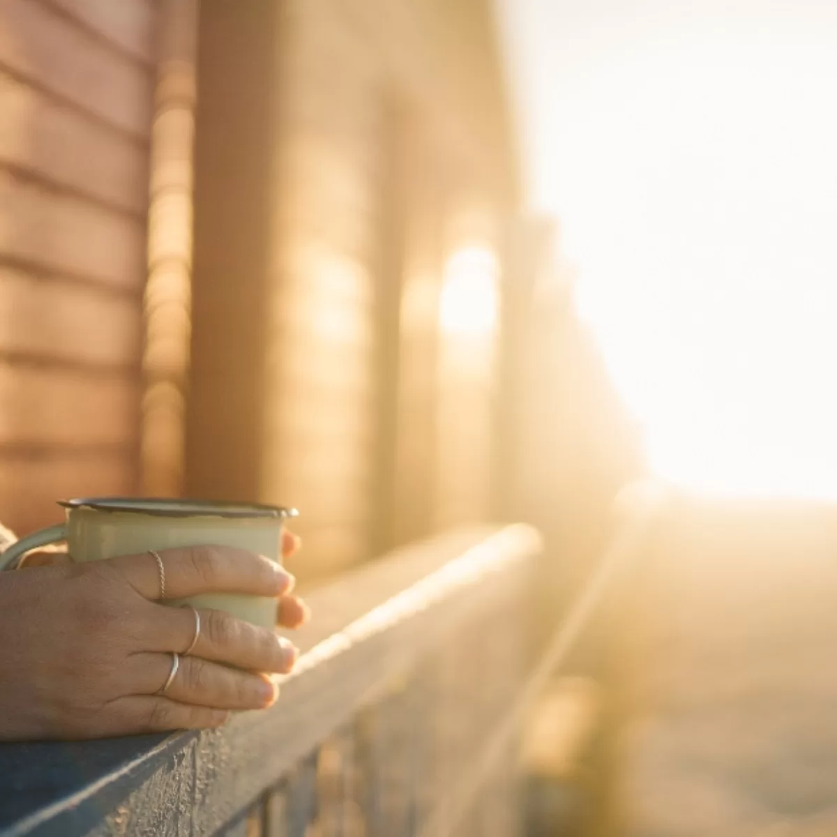Morning Sunlight Benefits: Circadian Rhythms, Mood, and More - Out by ...